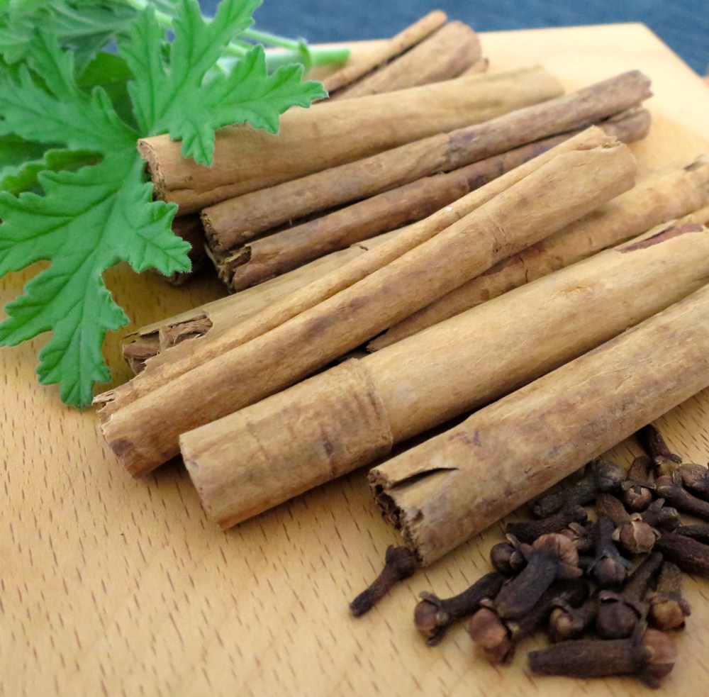 Sweet Summer Spice – Kaneláda – Cinnamon Cordial – kouzina