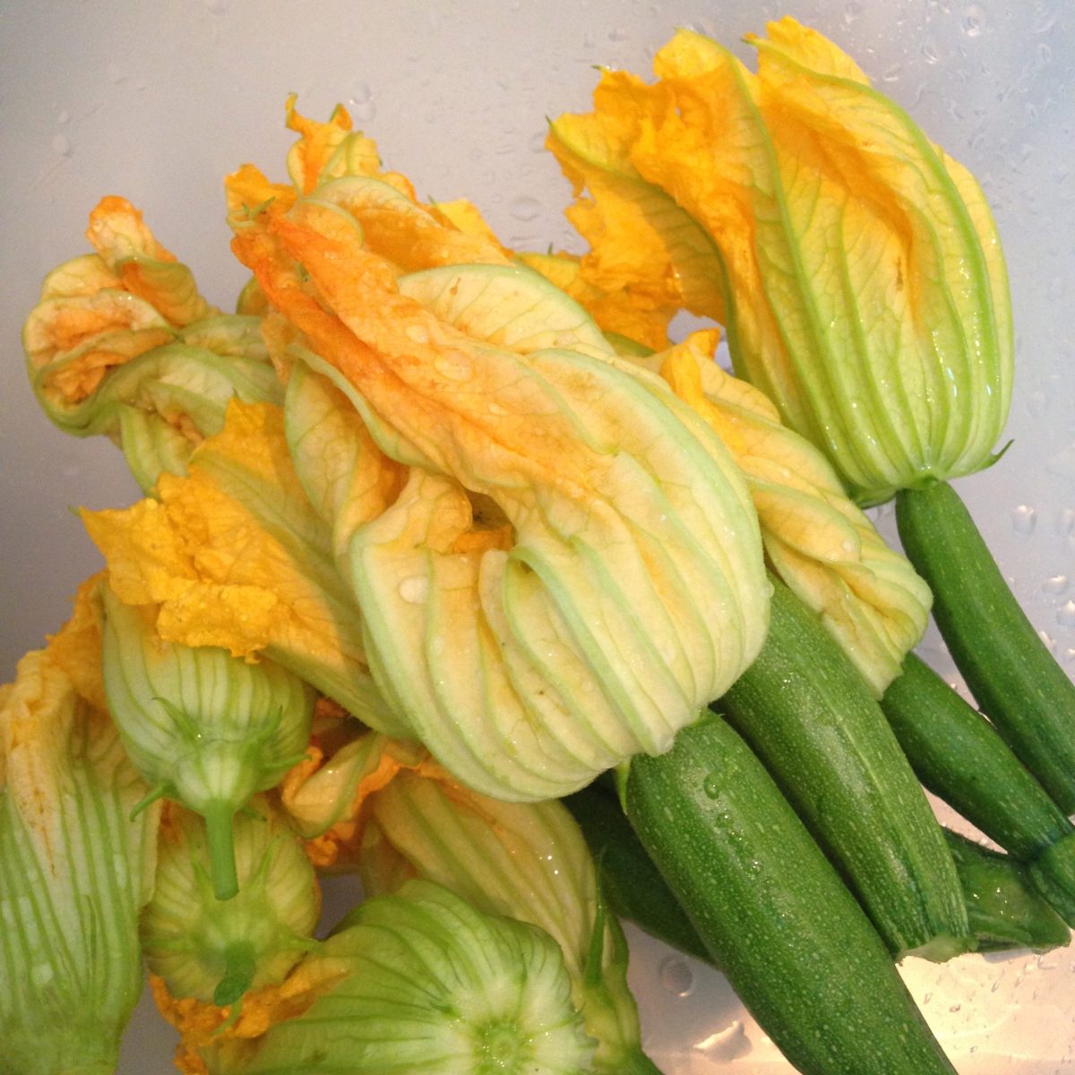 Lockdown Lowdown – Where to eat? – kouzina